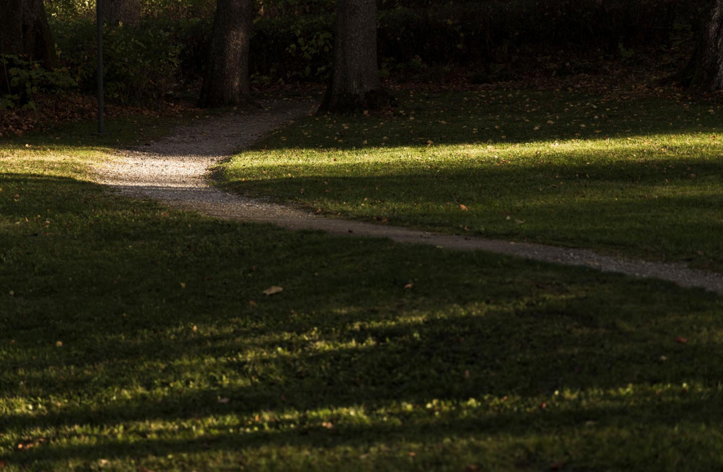 Das Blyb. | Eine Haltung, eine Vision, eine Gemeinschaft